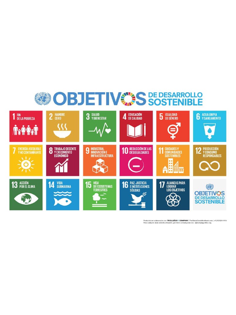 S SDG Poster - A4 | PDF