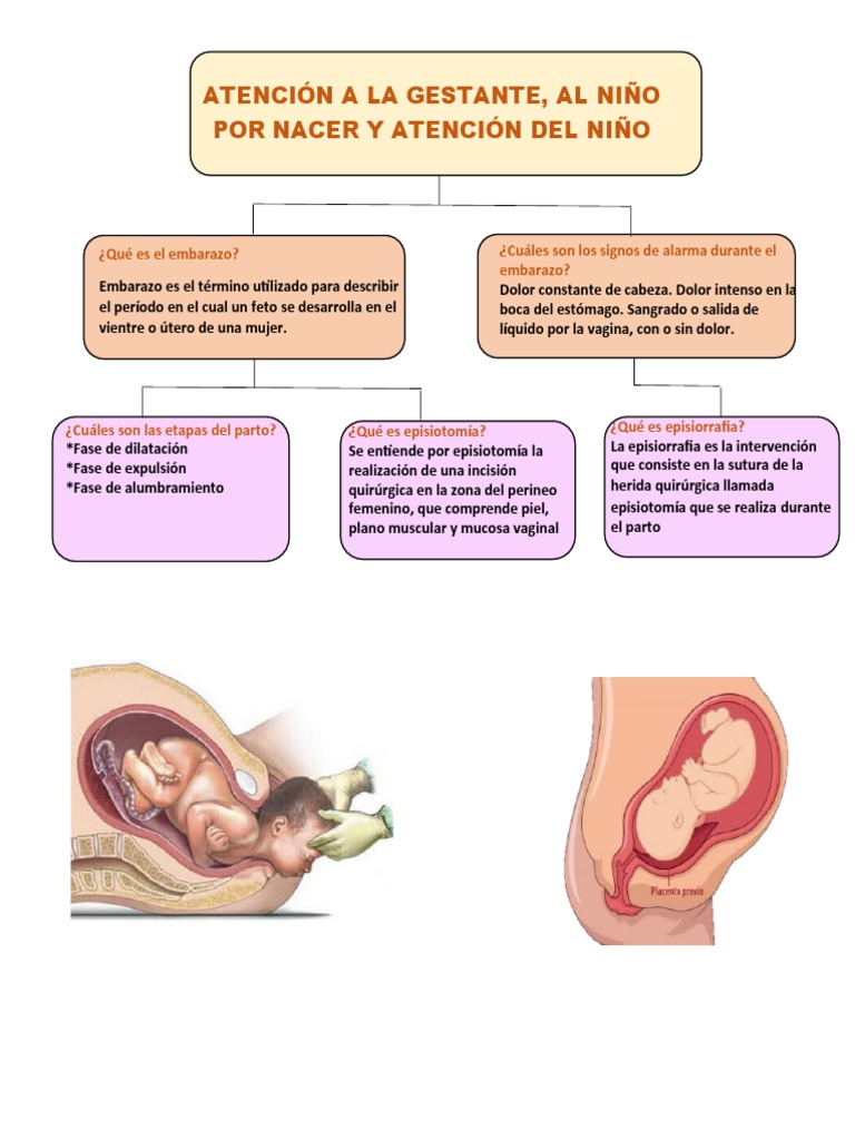 Actividad en S.P y Epidemiologia-Atención A La Gestante-N12 | PDF