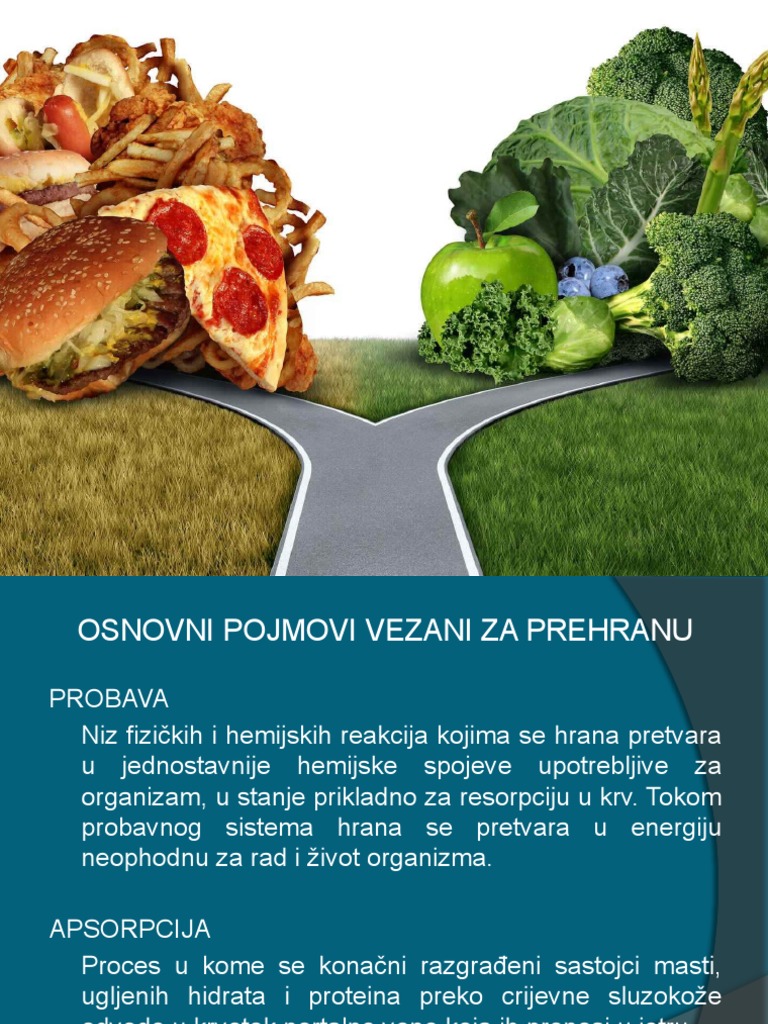OSNOVNI POJMOVI U ISHRANI - Vučko | PDF
