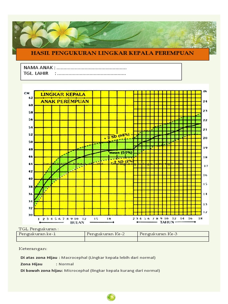 Format Grafik Lingkar Kepala | PDF