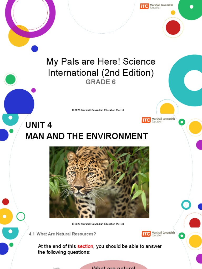 Man and Environment | Download Free PDF | Waste | Natural Environment