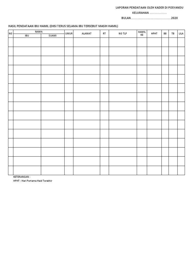 Laporan Pendataan Kesehatan Ibu dan Anak | PDF