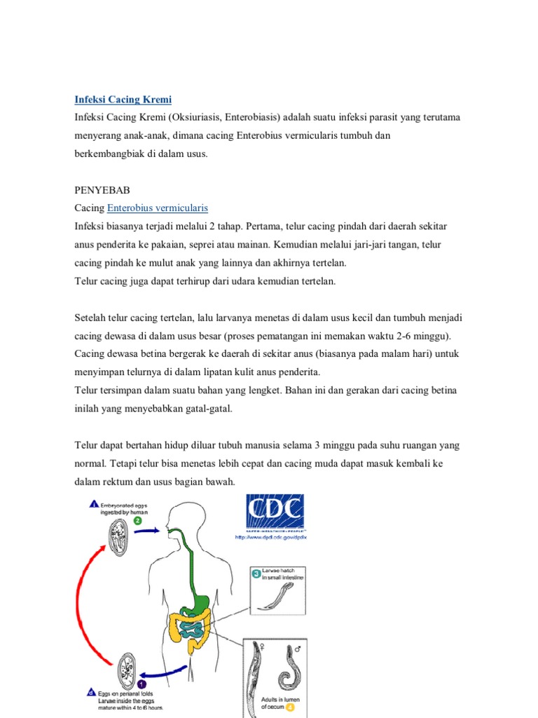 Infeksi Cacing Kremi | PDF