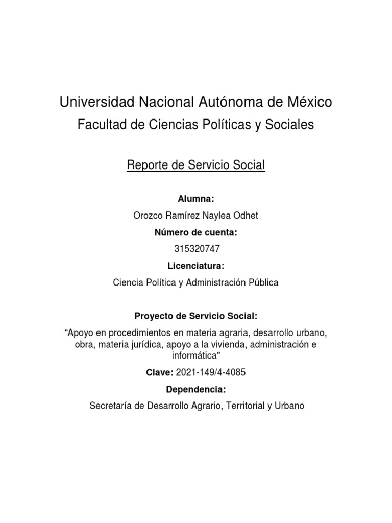 Reporte Servicio Social Pdf Planificación México