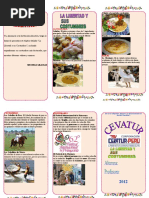 Tríptico Artrópodos | PDF | Arte | Ciencias sociales