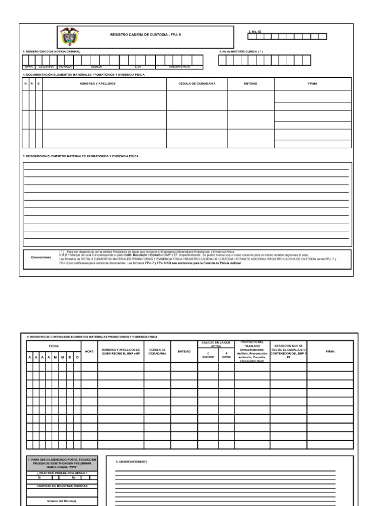 Cadena de Custodia | PDF