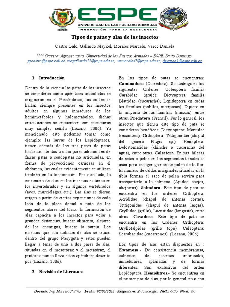 Tipos de patas y alas en insectos | PDF | Insectos | Mosca