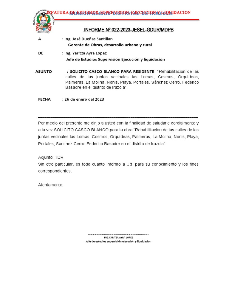 Informe N°022-Casco Blanco | PDF