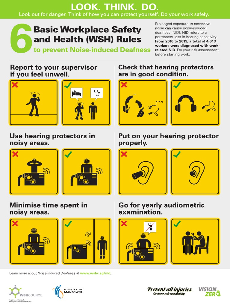 6 Workplace Safety and Health WSH Rules To Prevent Noise Induced Deafness | PDF