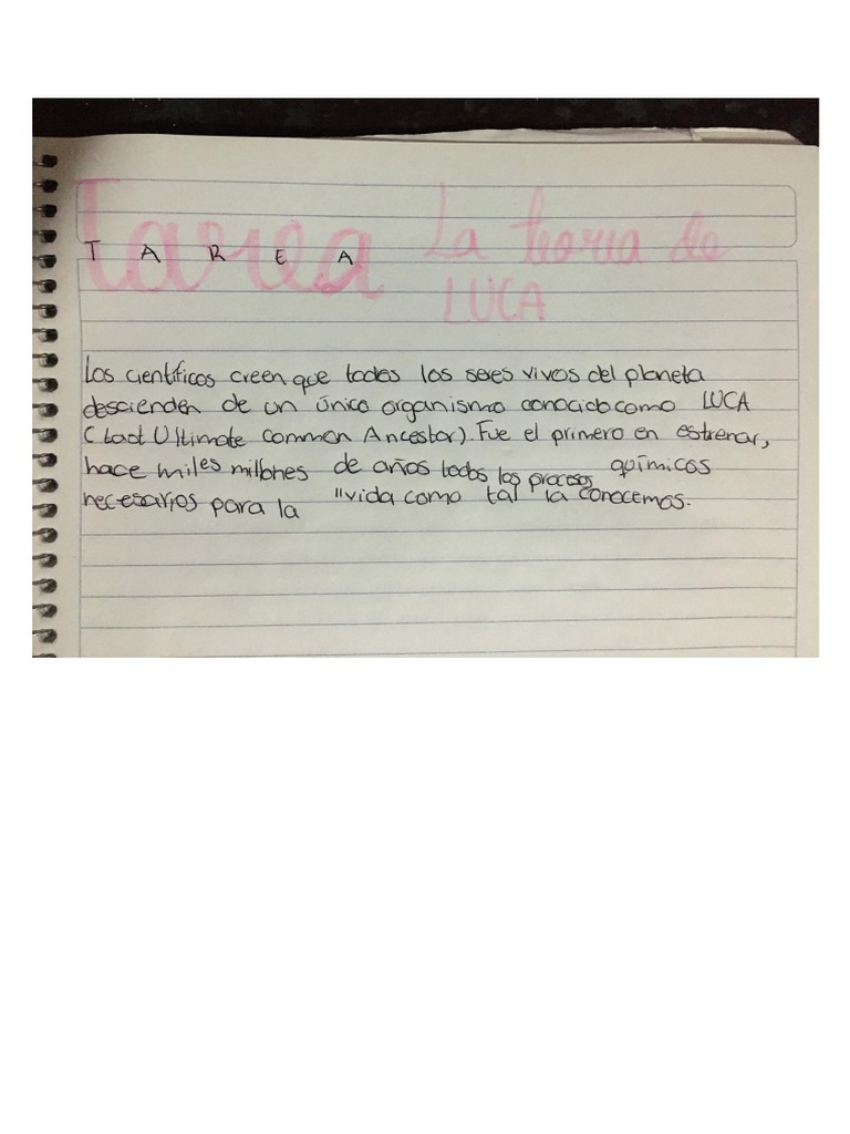 Tarea 1. Teoría de Luca | PDF