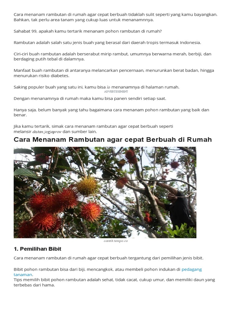 RAMBUTAN | PDF | Griya & Taman | Sains & Matematika