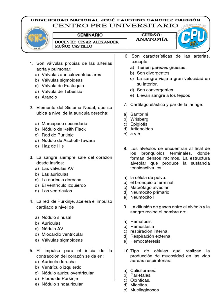 Último Repaso de Anatomía - Cpu | PDF | Riñón | Páncreas