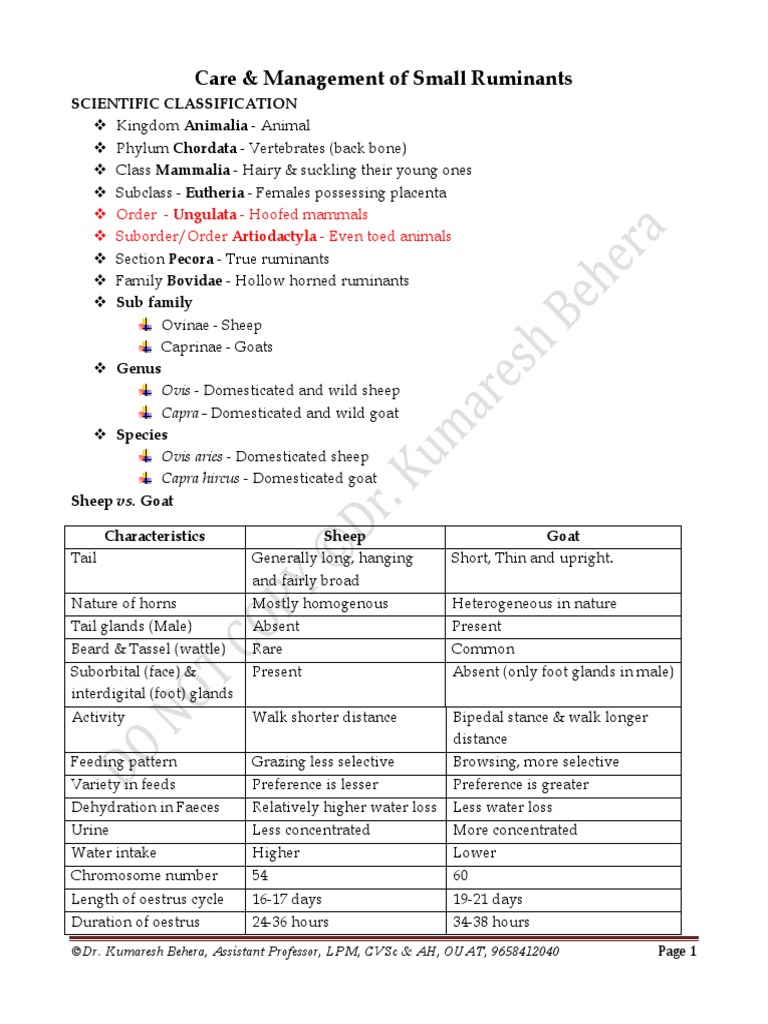 Care Management of Small Ruminant | PDF | Sheep | Goat