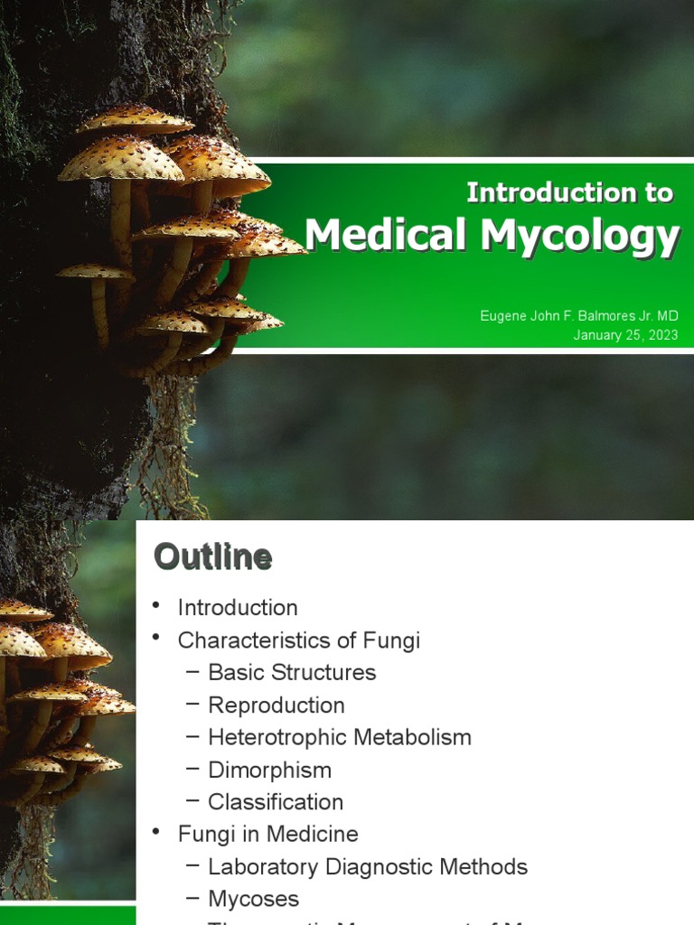 Medical Mycology | PDF | Fungus | Biology