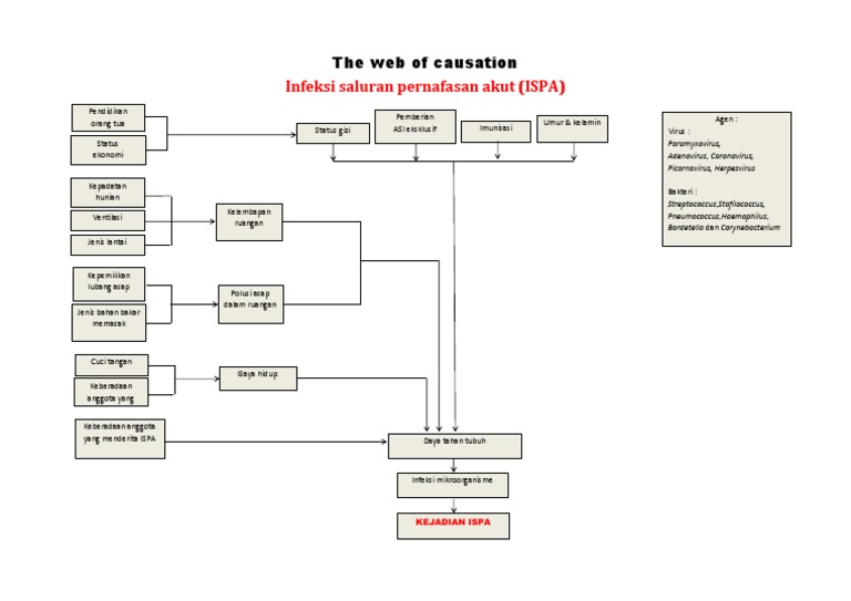 The Web of Causation | PDF