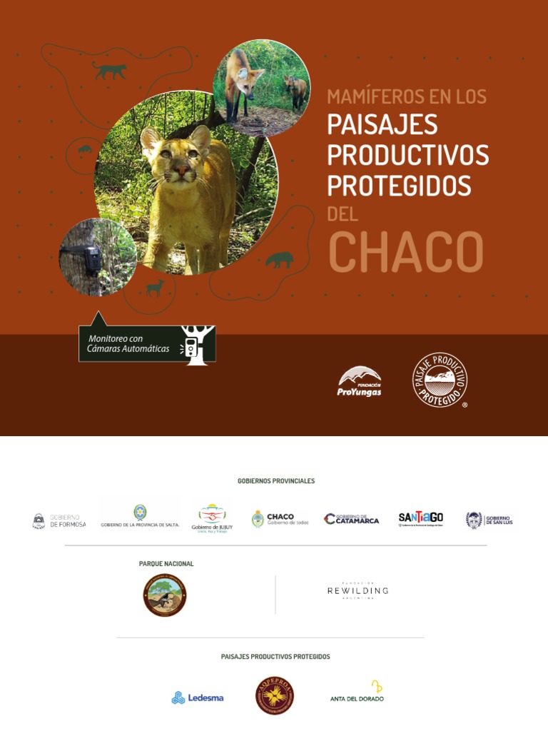Mamiferos Del Chaco PPP Web | PDF