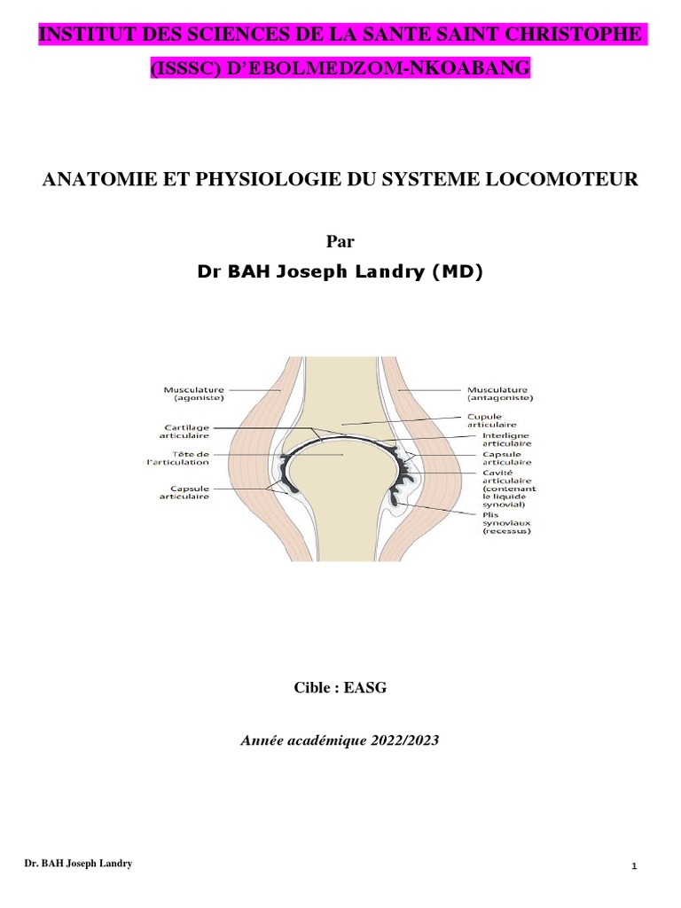 Anatomie du Système Locomoteur | PDF | Vertèbre | Articulation (anatomie)