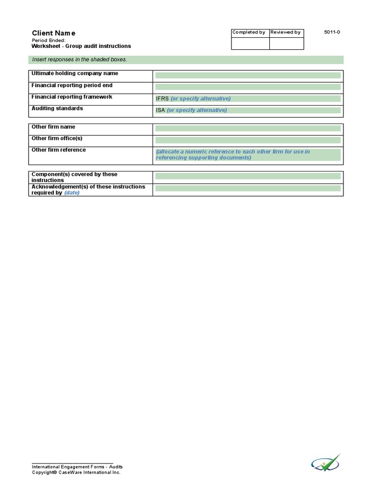 5011 - Worksheet - Group Audit Instructions | PDF | Audit | Financial Audit