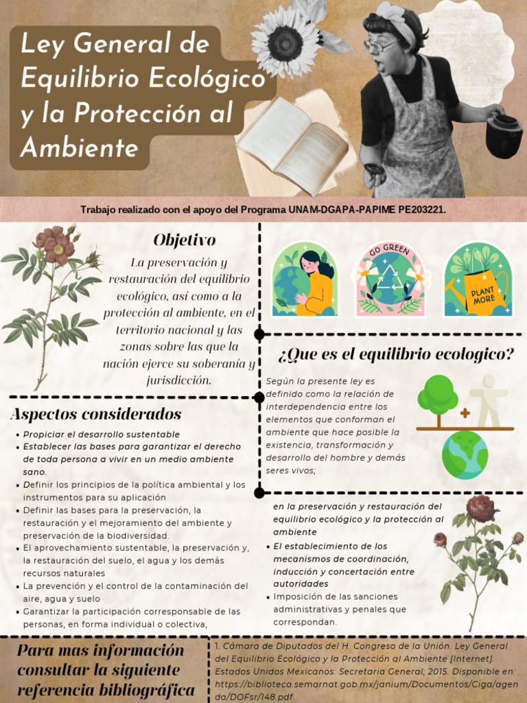 Infografía Ley General de Equilibrio Ecológico y La Protección Al ...