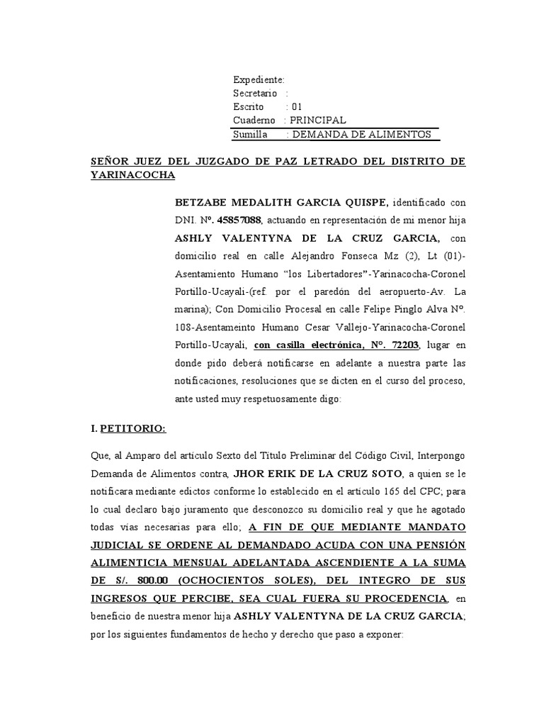 Demanda Alimentos Betsabe | PDF | Demanda judicial | Justicia