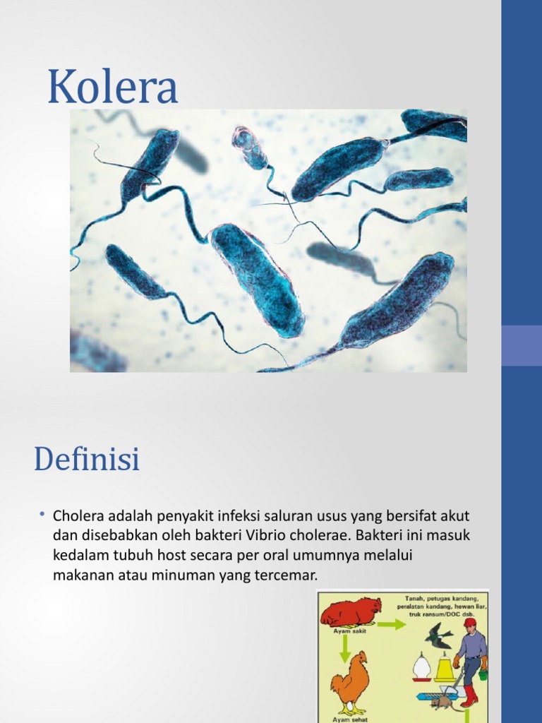 Kolera | PDF | Kesehatan Holistik | Sains & Matematika