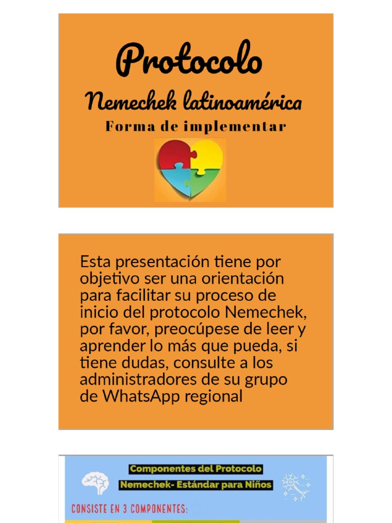 Guía Protocolo Nemecheck | PDF
