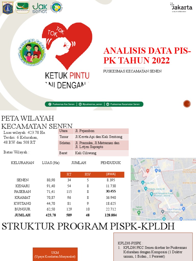 Analisis Data PIS-PK Tahun 2022 | PDF