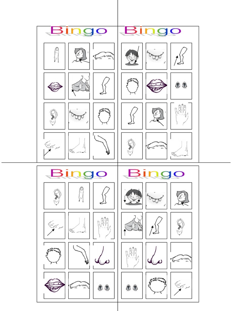 Bingo Cuerpo Humano | PDF