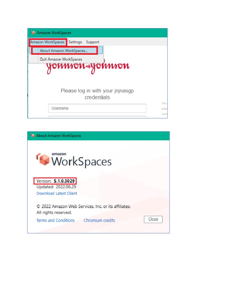 how-to-check-aws-version-pdf