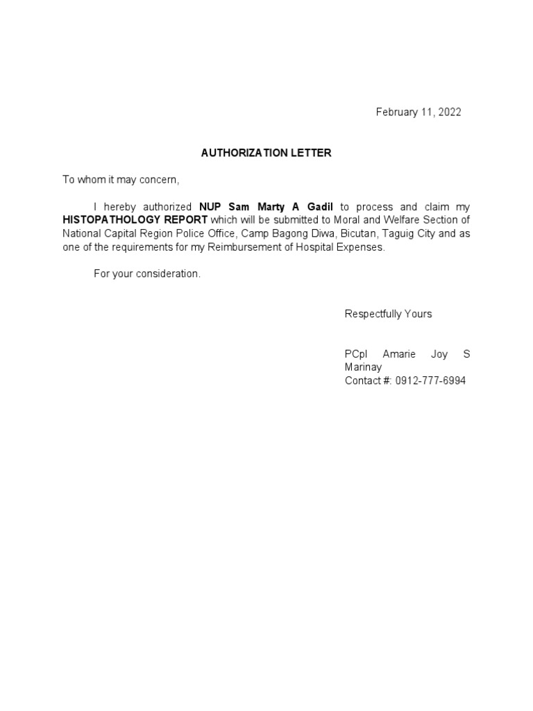 Authorization Letter | PDF
