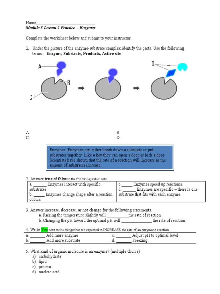 Module 3 Lesson 2 Practice | PDF