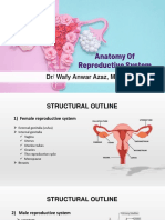 (Anatomy & Physiology Lecture) REPRODUCTIVE SYSTEM NOTES | PDF | Uterus ...