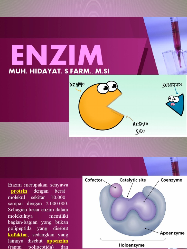 Enzim | PDF