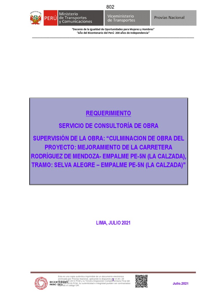 TDR Modelo - Bim | PDF | Perú