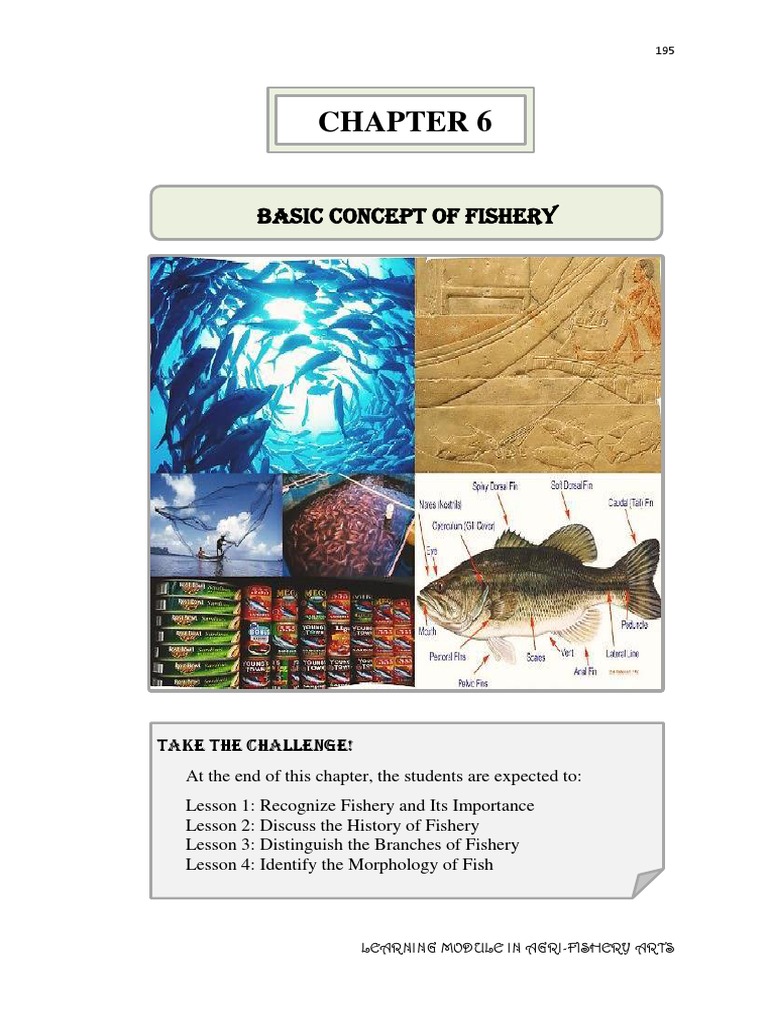 Chapter 6 | PDF | Human Body | Fish