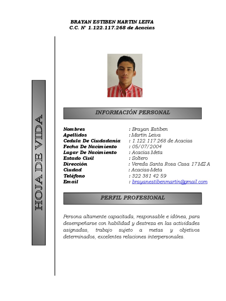 Hoja de Vida Brayan Estiben Martin Leiva | PDF