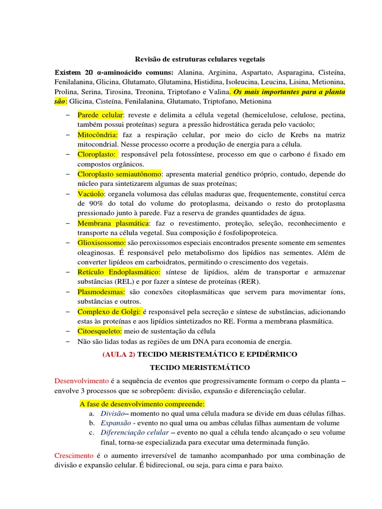 Resumo de Anatomia Vegetal | PDF | Raiz | Célula (Biologia)