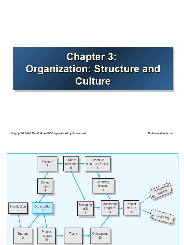 Chapter 3 - Organization Structure & Culture | Download Free PDF | Organizational Culture ...