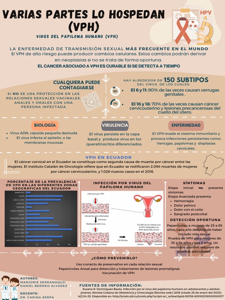 Prevención y tratamiento del VPH en Ecuador | PDF | Cáncer ...