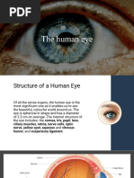 Bimbo Names | PDF | Leisure