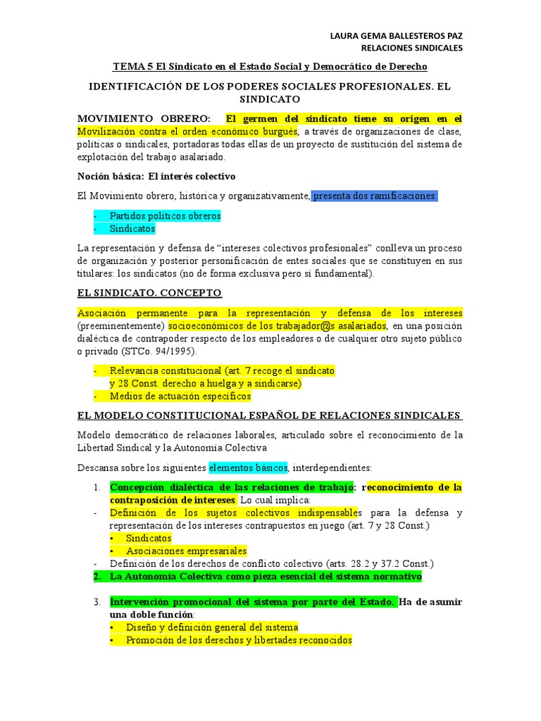 TEMA 5 El Sindicato en El Estado Social y Democrático de Derecho | Descargar gratis PDF ...