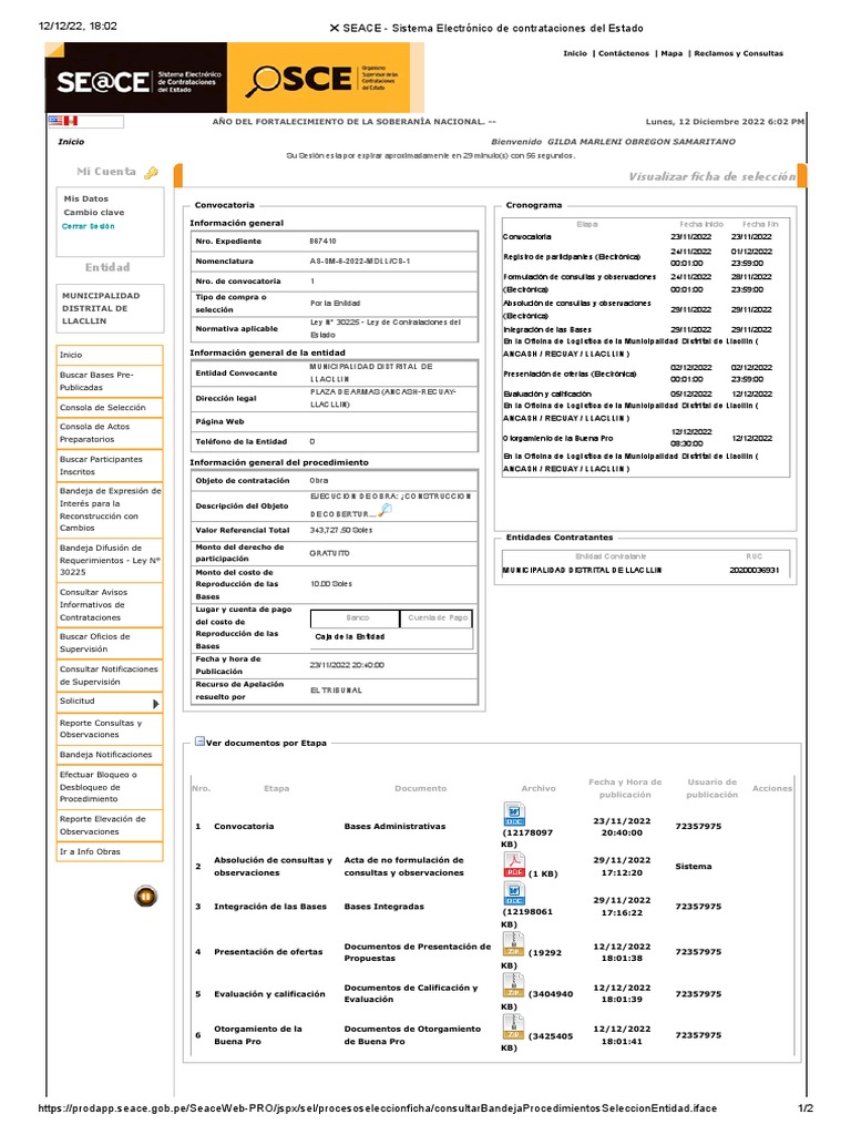 SEACE - Sistema Electrónico de Contrataciones Del Estado | PDF