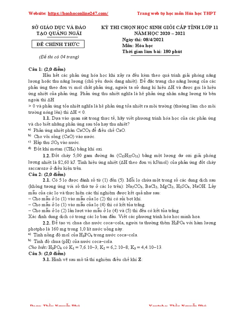 Hsg 11 Quảng Ngãi 2020-2021 | PDF