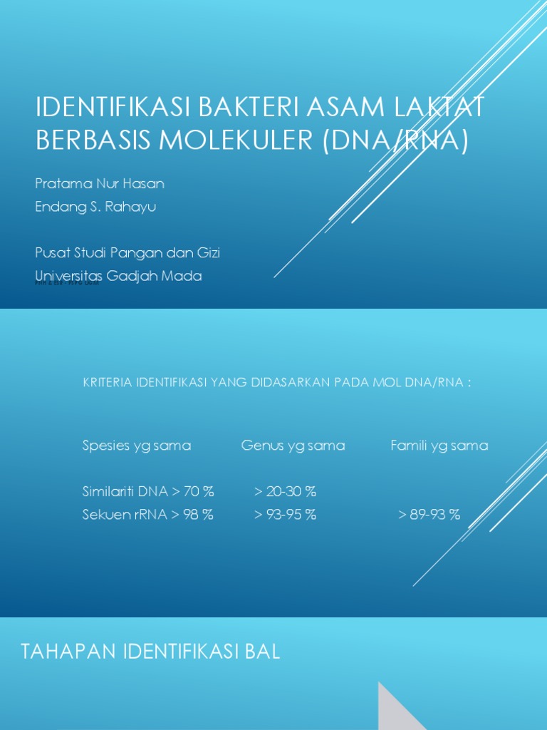2020 Identifikasi-BAL Molekuler | PDF
