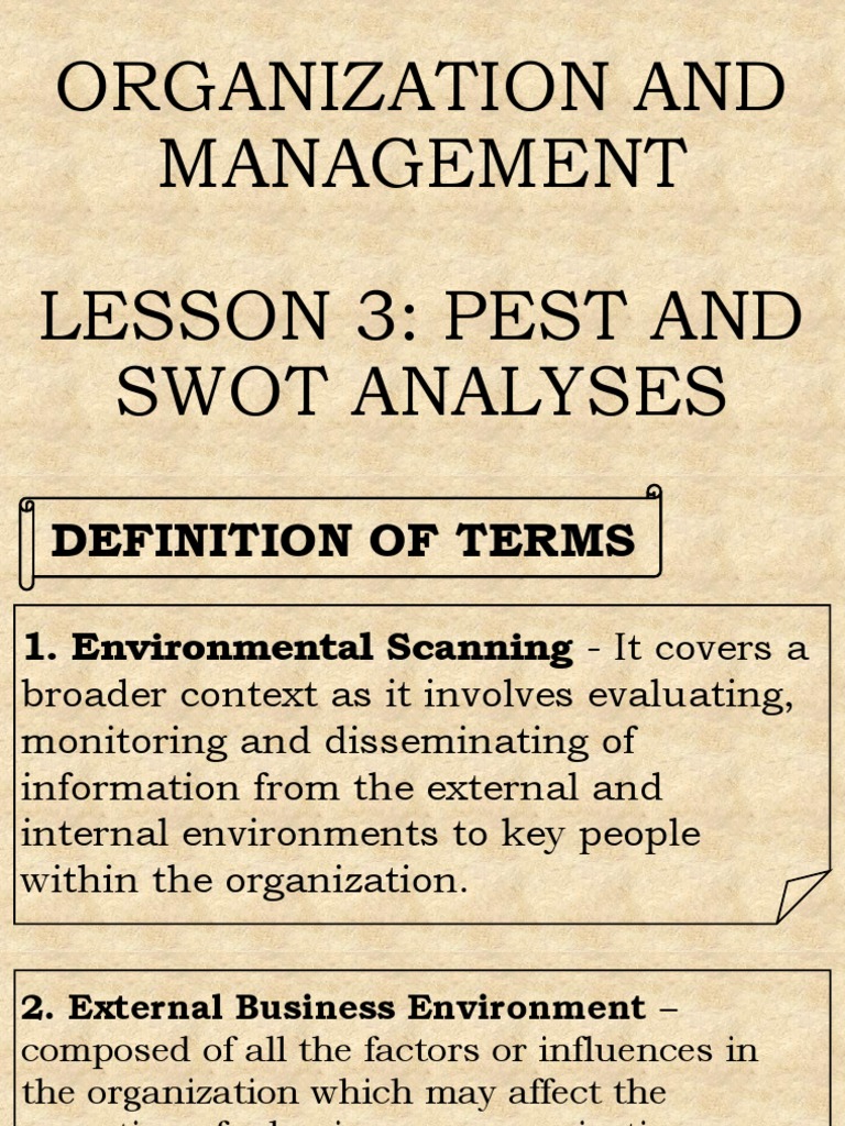 Organization and Management Lesson 3 | PDF | Swot Analysis | Business