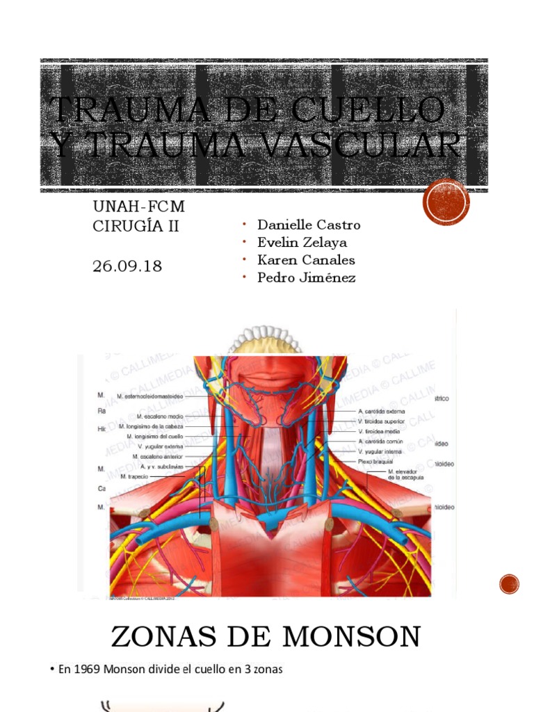 Expo Ciru Trauma de Cuello-1 | PDF | Lesión | Isquemia