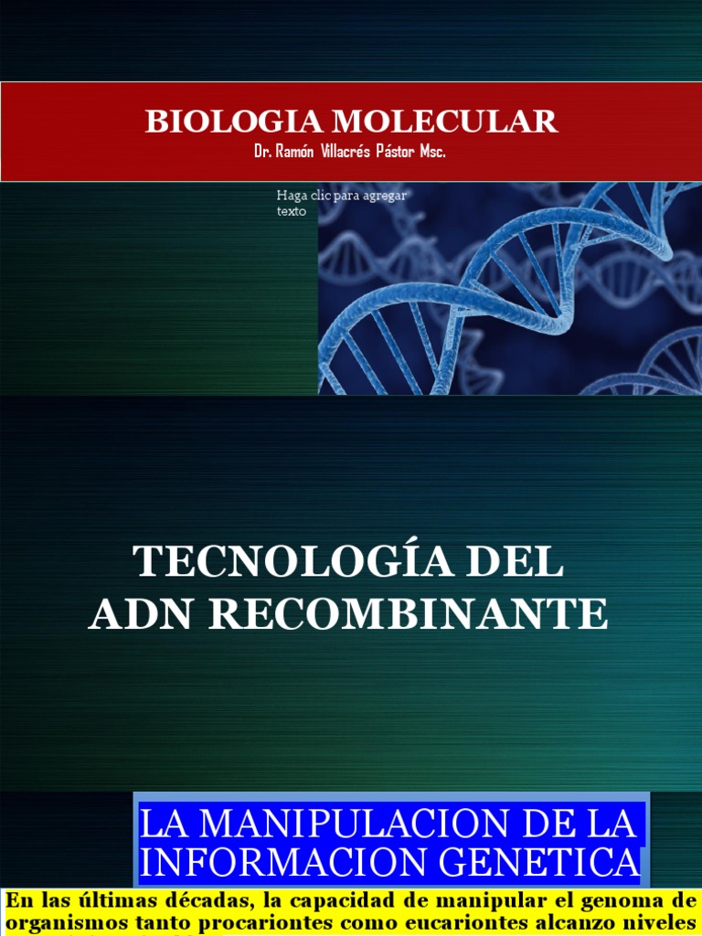 Tecnicas ADN-Aislam - Hibridacion. | PDF | Adn | Hibridación de ácido ...