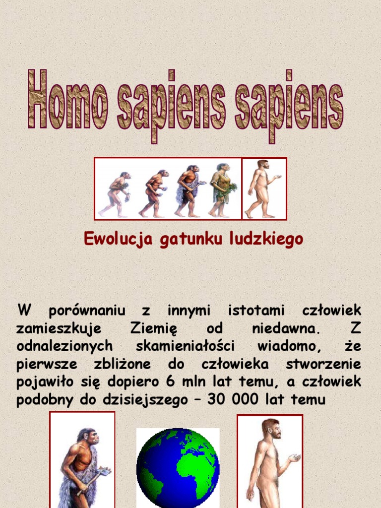 Homo Sapiens | PDF