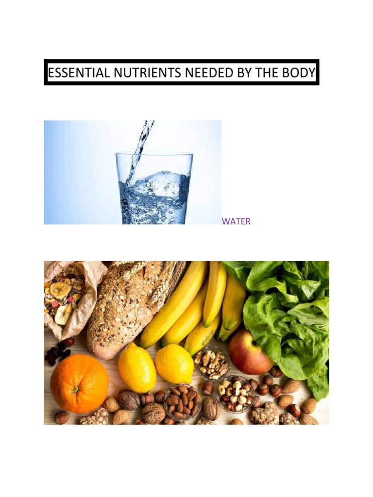 essential-nutrients-needed-by-the-body-pdf