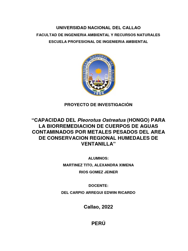 Proyecto de Investigación POT | PDF